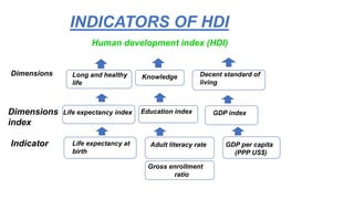 Human Geography | PPTX