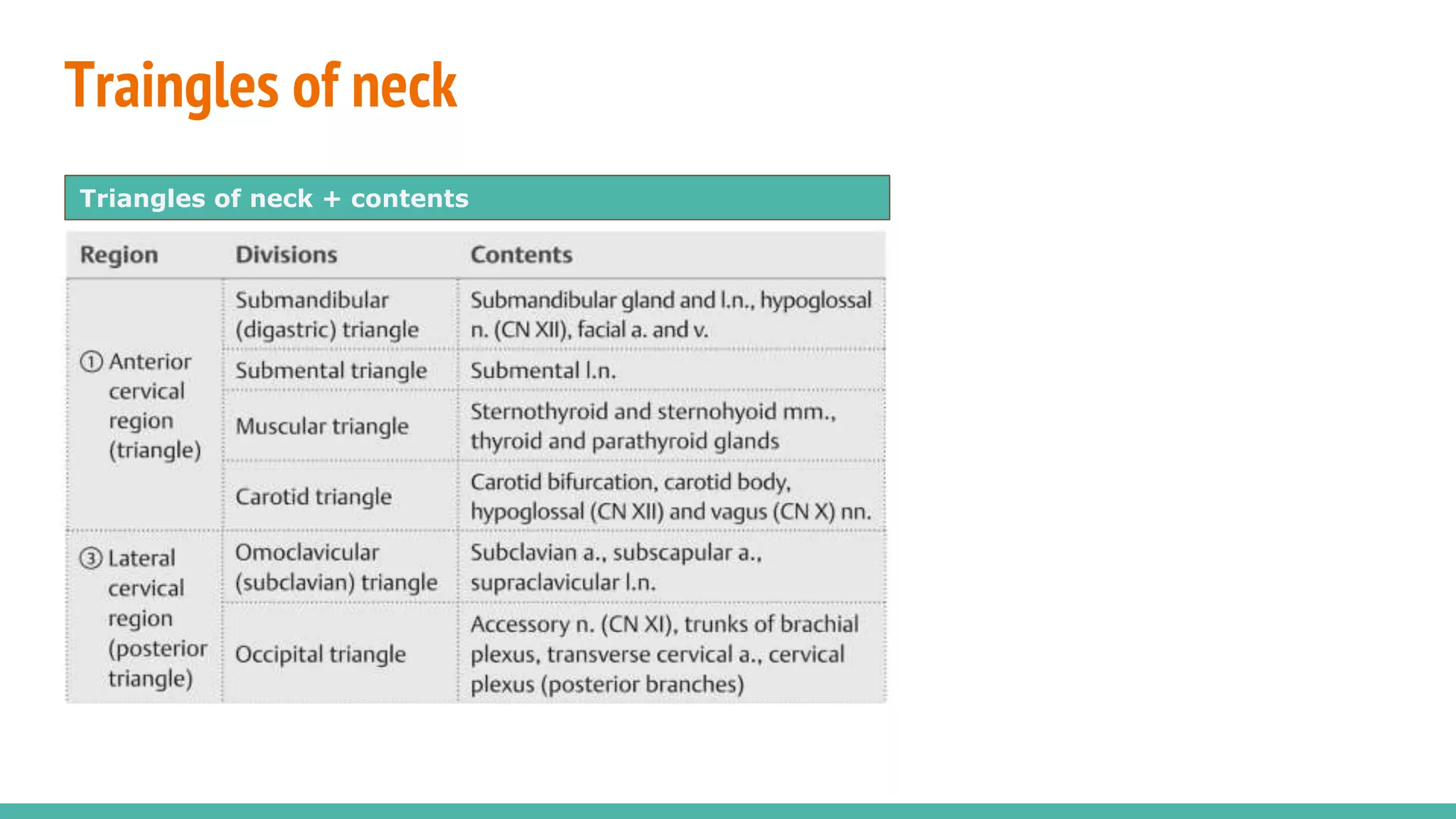 Cervical region | PPTX