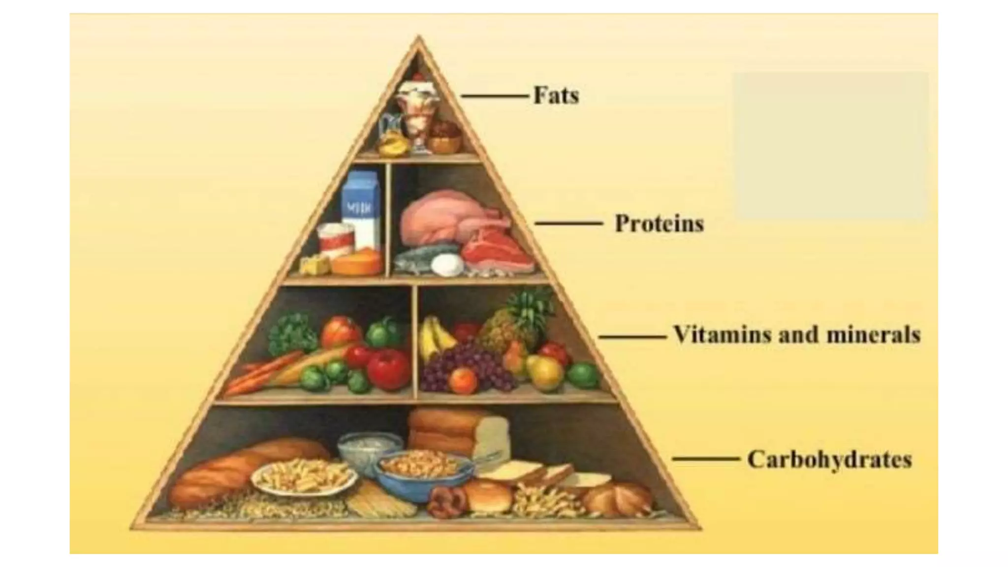 Components of food. | PPT
