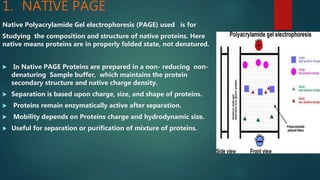 Separation of Biomolecules | PPTX