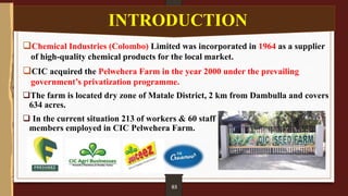 CIC Agri business.pptx