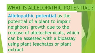 Allilopathic affect | PPT