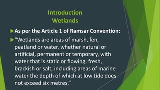 Ramsar Convention on Wetlands.pptx | Science