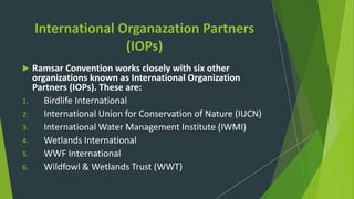 Ramsar Convention on Wetlands.pptx | Science