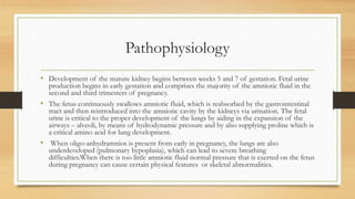 Potter syndrome | PPTX