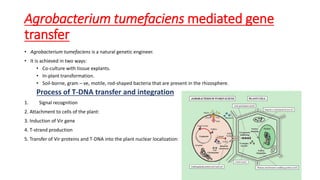DNA delivery methods | PPTX