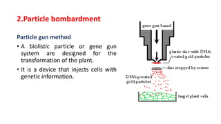 DNA delivery methods | PPT