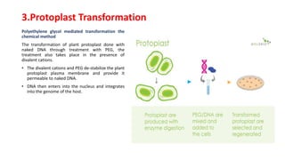 DNA delivery methods | PPT