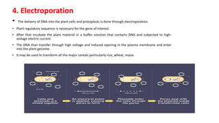 DNA delivery methods | PPT
