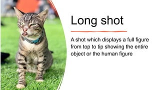 CAMERA SHOTS | PPT