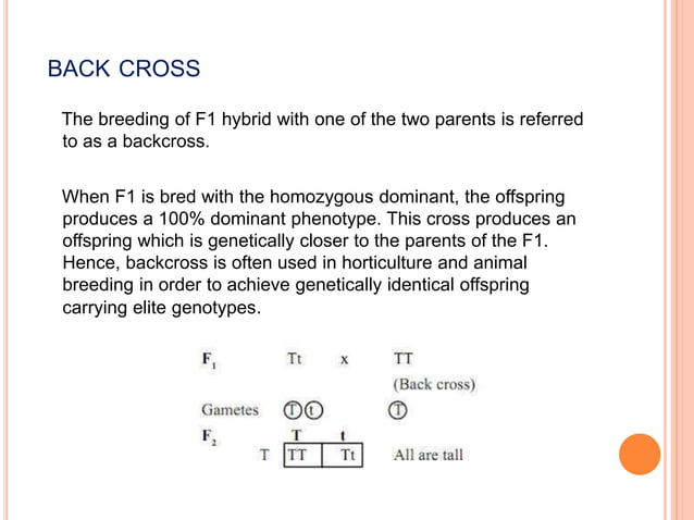 Test Cross & Back cross | PPTX