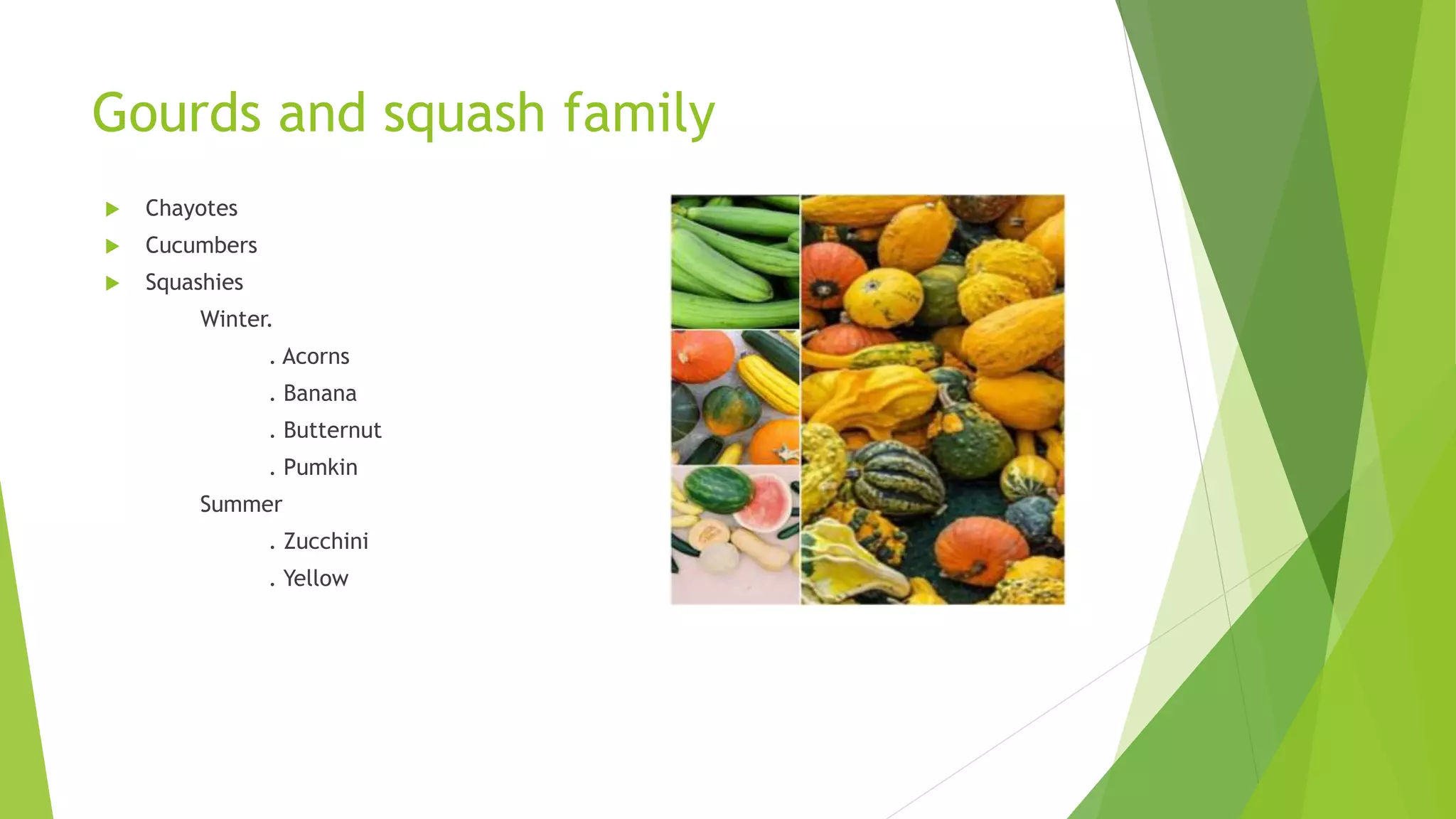 Presentation.pptx of vegetables | PPT