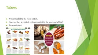 Presentation.pptx of vegetables | PPT