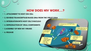 HIV AIDS | PDF | Infectious Diseases | Diseases and Conditions