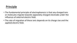 MOVING BOUNDARY ELECTROPHORESIS . pptx | PPTX