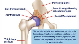 Hip joint Presentation.pptx | Bone and Joint Conditions | Diseases and Conditions
