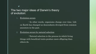 Evidence of evolution | PPT