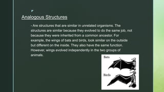 Evidence of evolution | PPTX