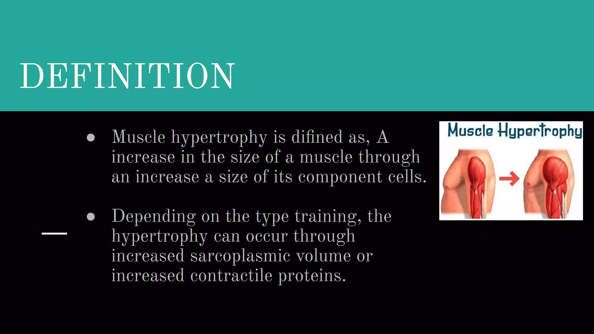Muscle hypertrophy | PDF