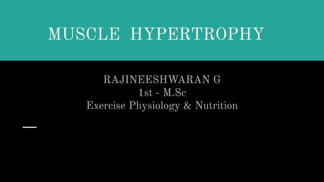 Muscle hypertrophy | PDF