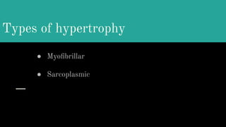 Muscle hypertrophy | PDF