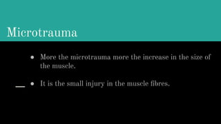 Muscle hypertrophy | PDF