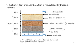 smart hydroponic system | PPTX