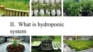 smart hydroponic system | PPTX