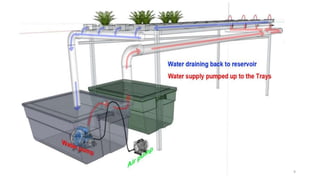smart hydroponic system | PPTX