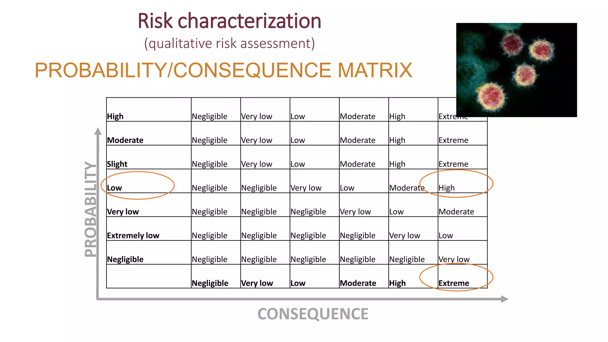 Use of risk assessment for food safety management with an integrated ...