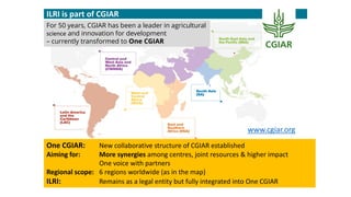 Use of risk assessment for food safety management with an integrated ...