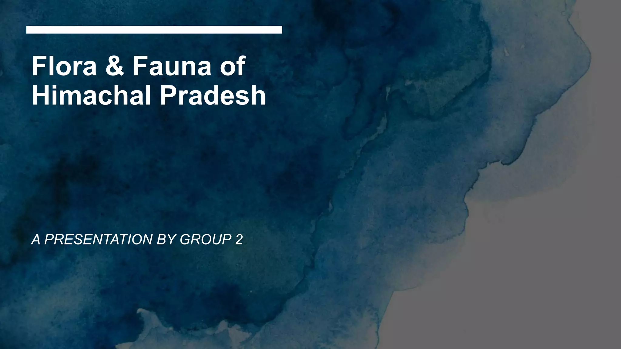 Himachal pradesh | PPTX