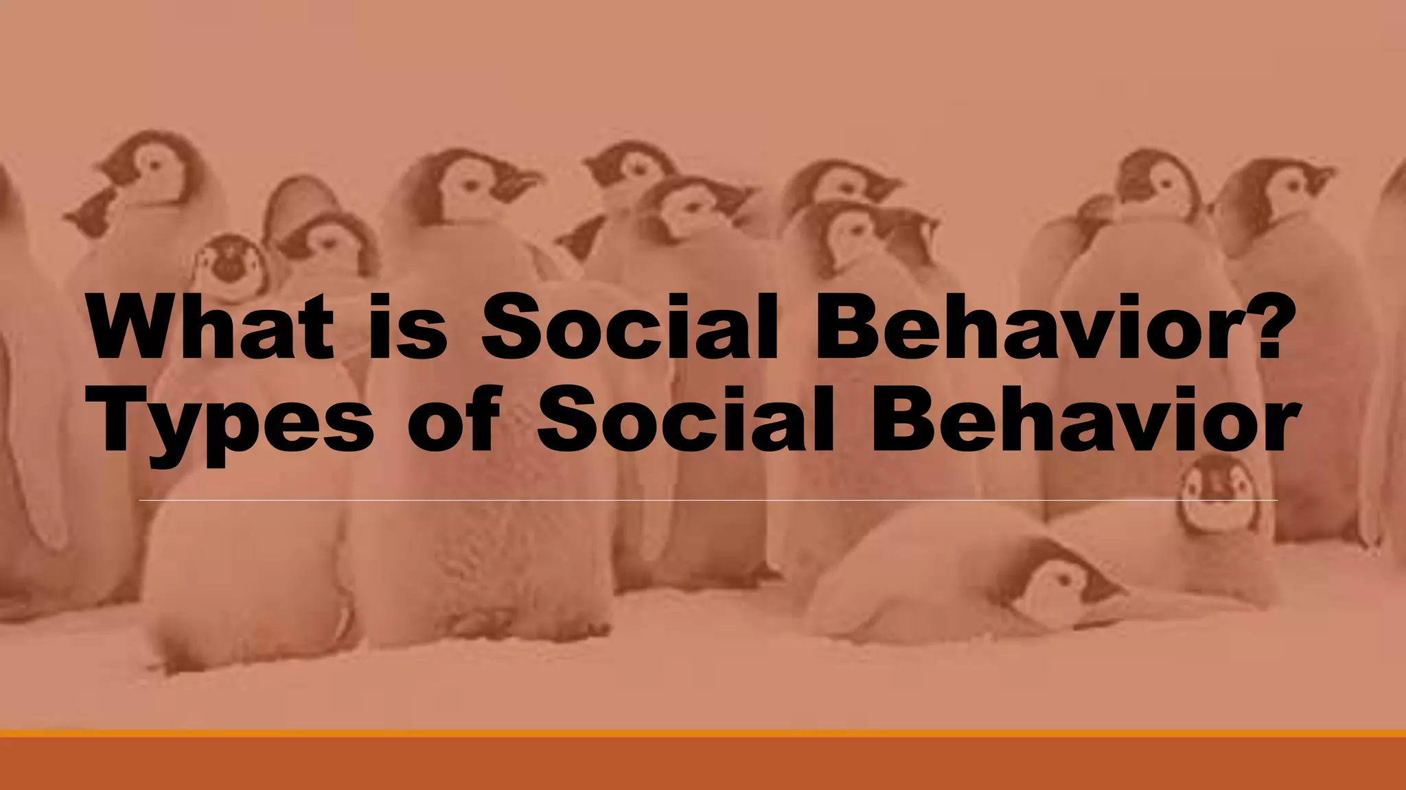 Social behavior and its types | PPTX