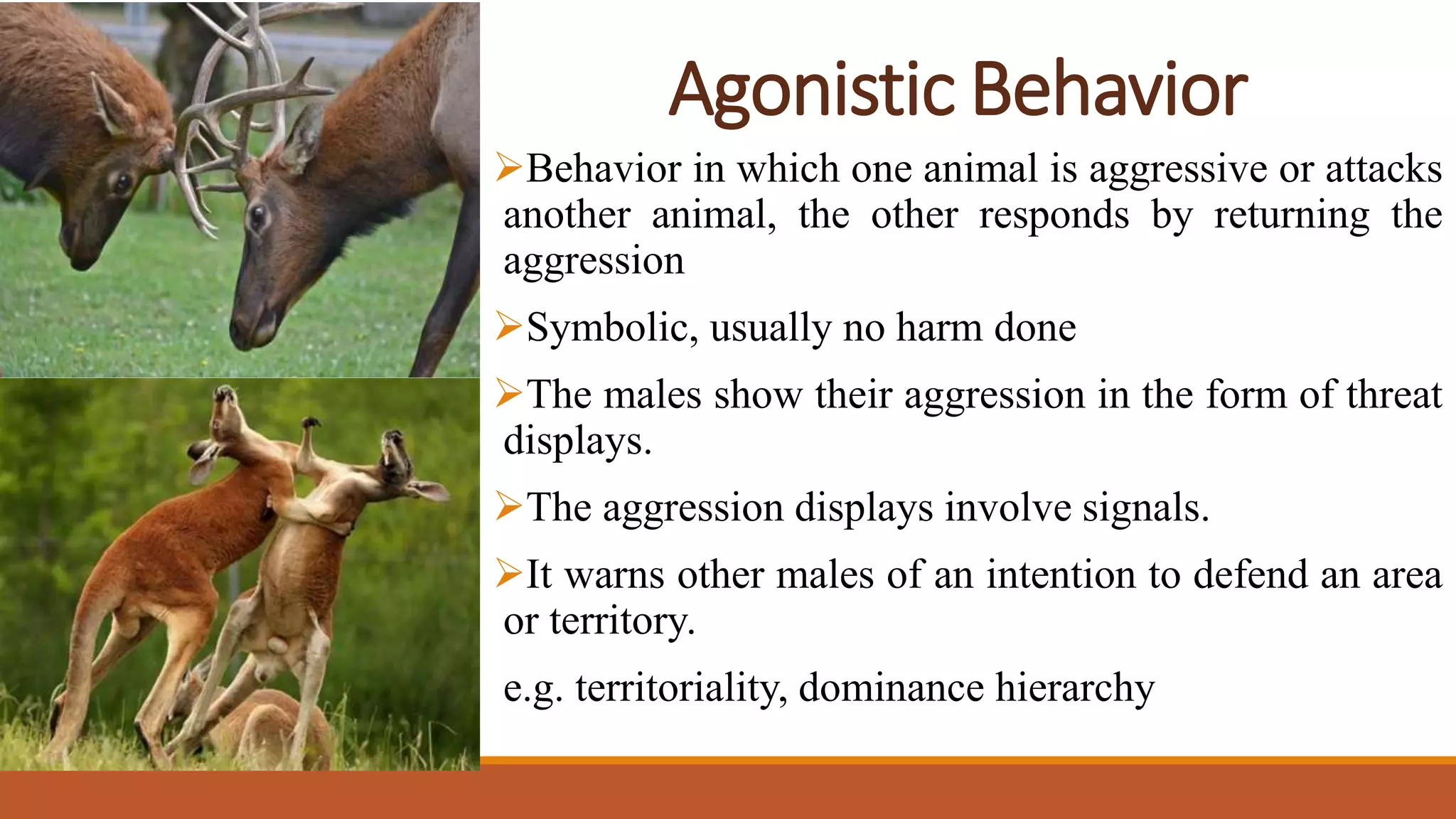 Social behavior and its types | PPTX