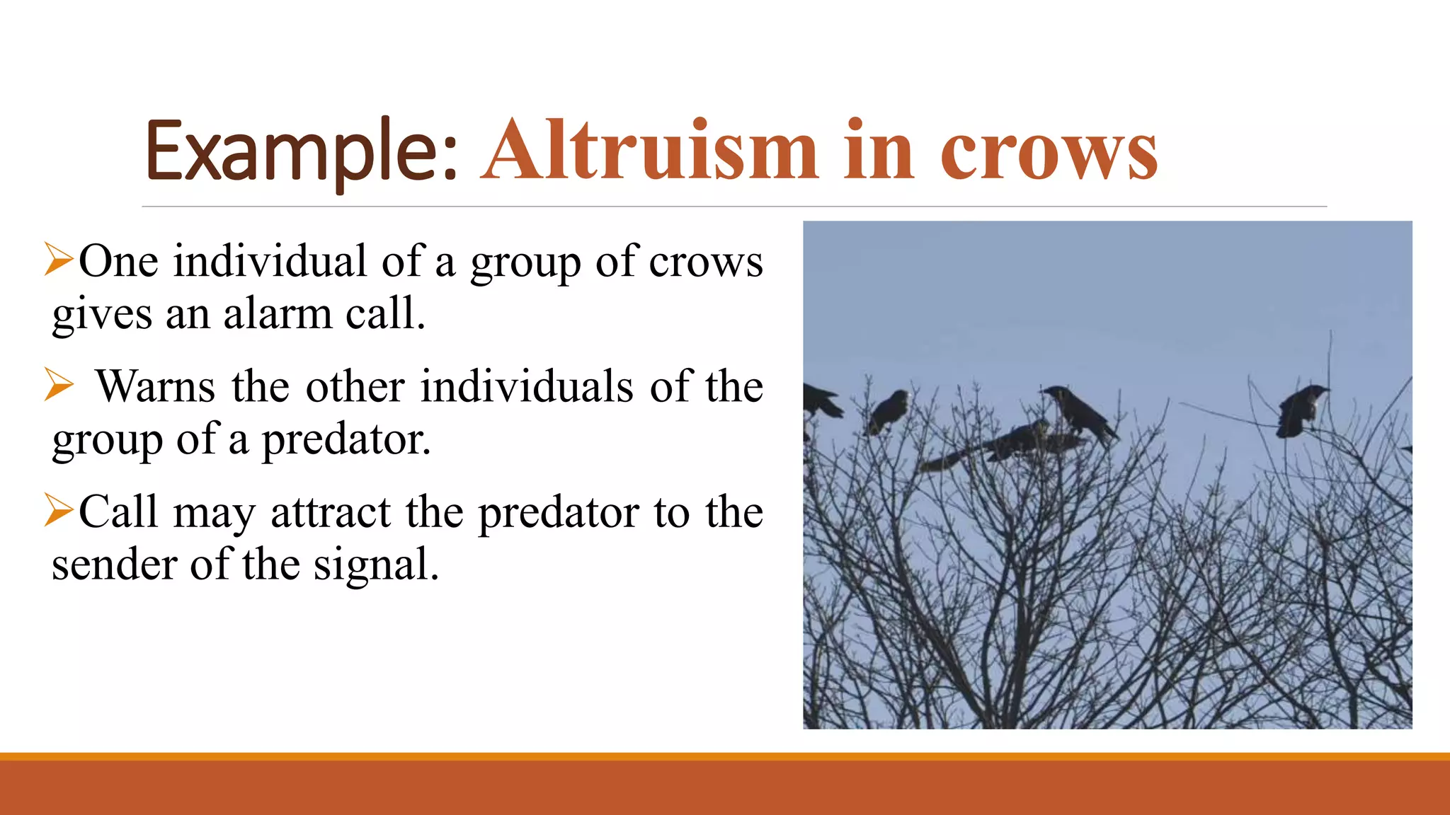 Social behavior and its types | PPTX
