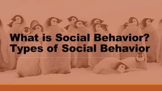 Social behavior and its types | PPTX