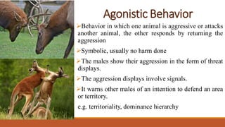 Social behavior and its types | PPTX