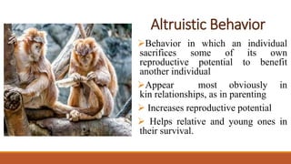 Social behavior and its types | PPTX