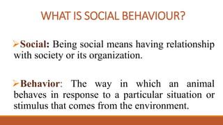 Social behavior and its types | PPTX