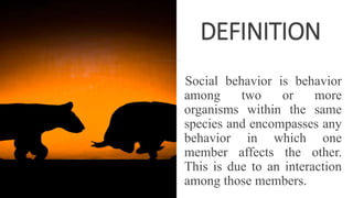 Social behavior and its types | PPTX