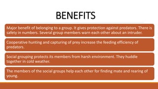 Social behavior and its types | PPTX