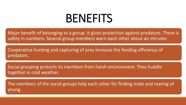 Social behavior and its types | PPTX