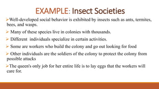 Social behavior and its types | PPTX