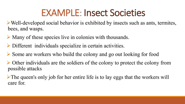 Social behavior and its types | PPTX