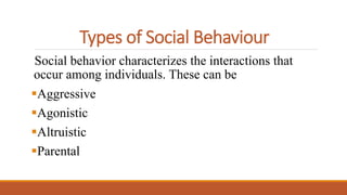 Social behavior and its types | PPTX