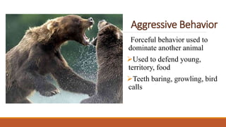 Social behavior and its types | PPTX