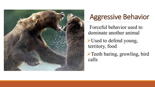 Social behavior and its types | PPTX