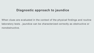 JAUNDICE.pptx