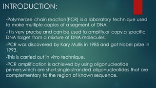 Polymerase Chain Reaction | PDF