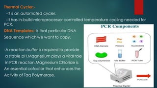 Polymerase Chain Reaction | PDF